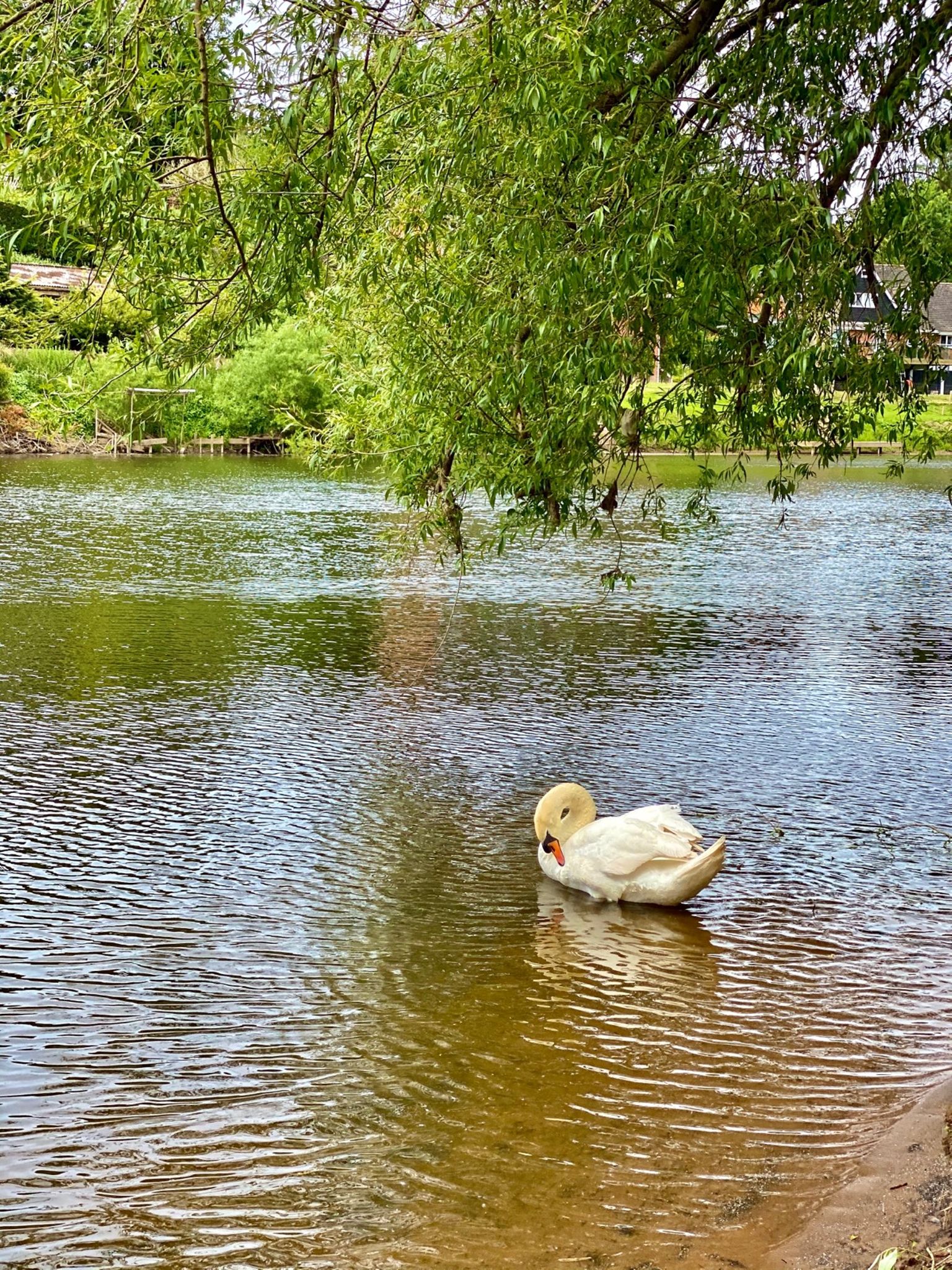 Out and about | Run.Spoon.Run