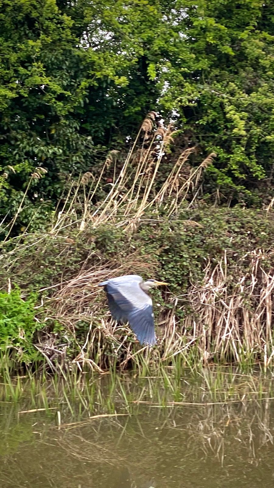 Canal ten | Run.Spoon.Run