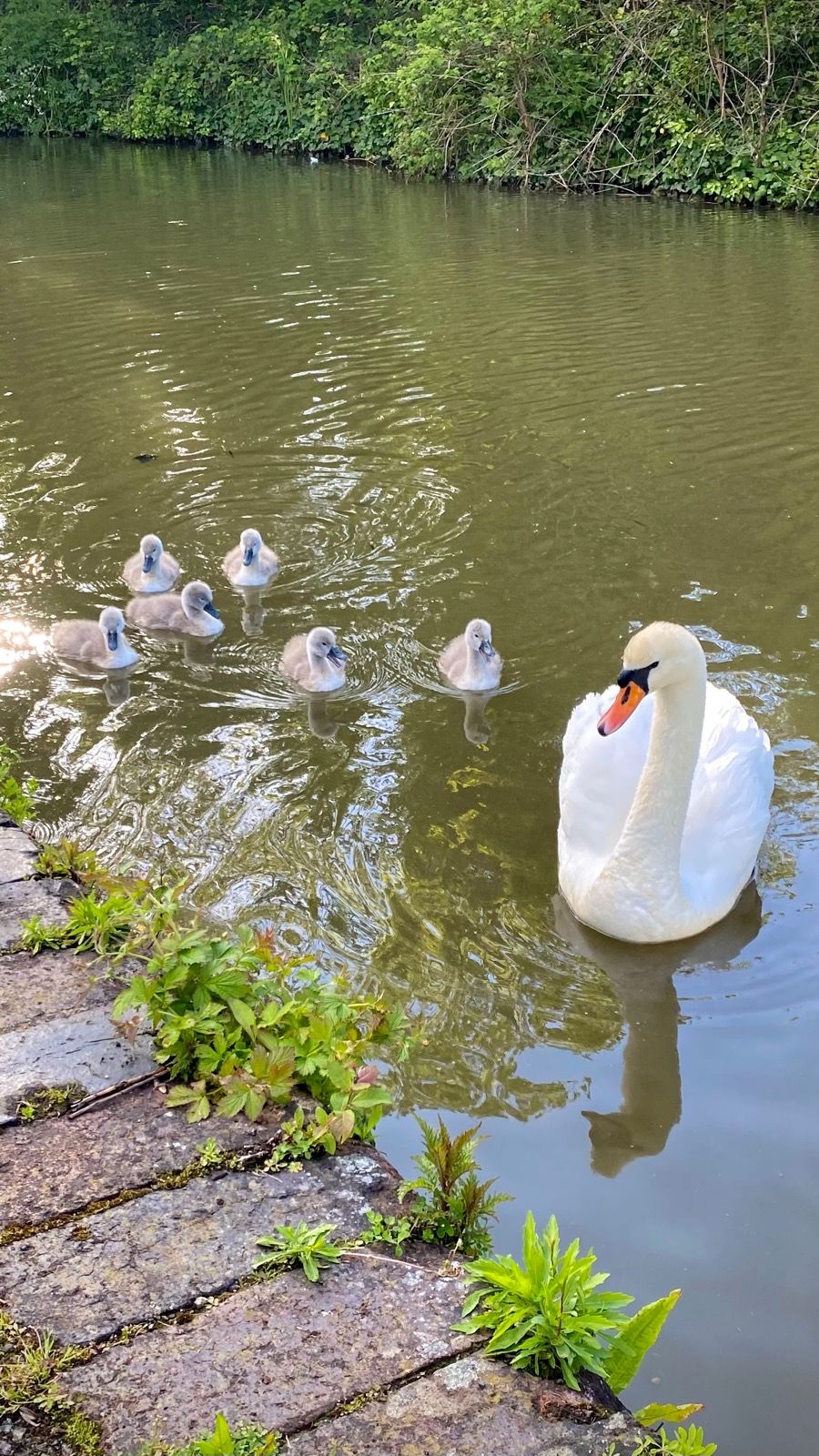 Canal ten | Run.Spoon.Run