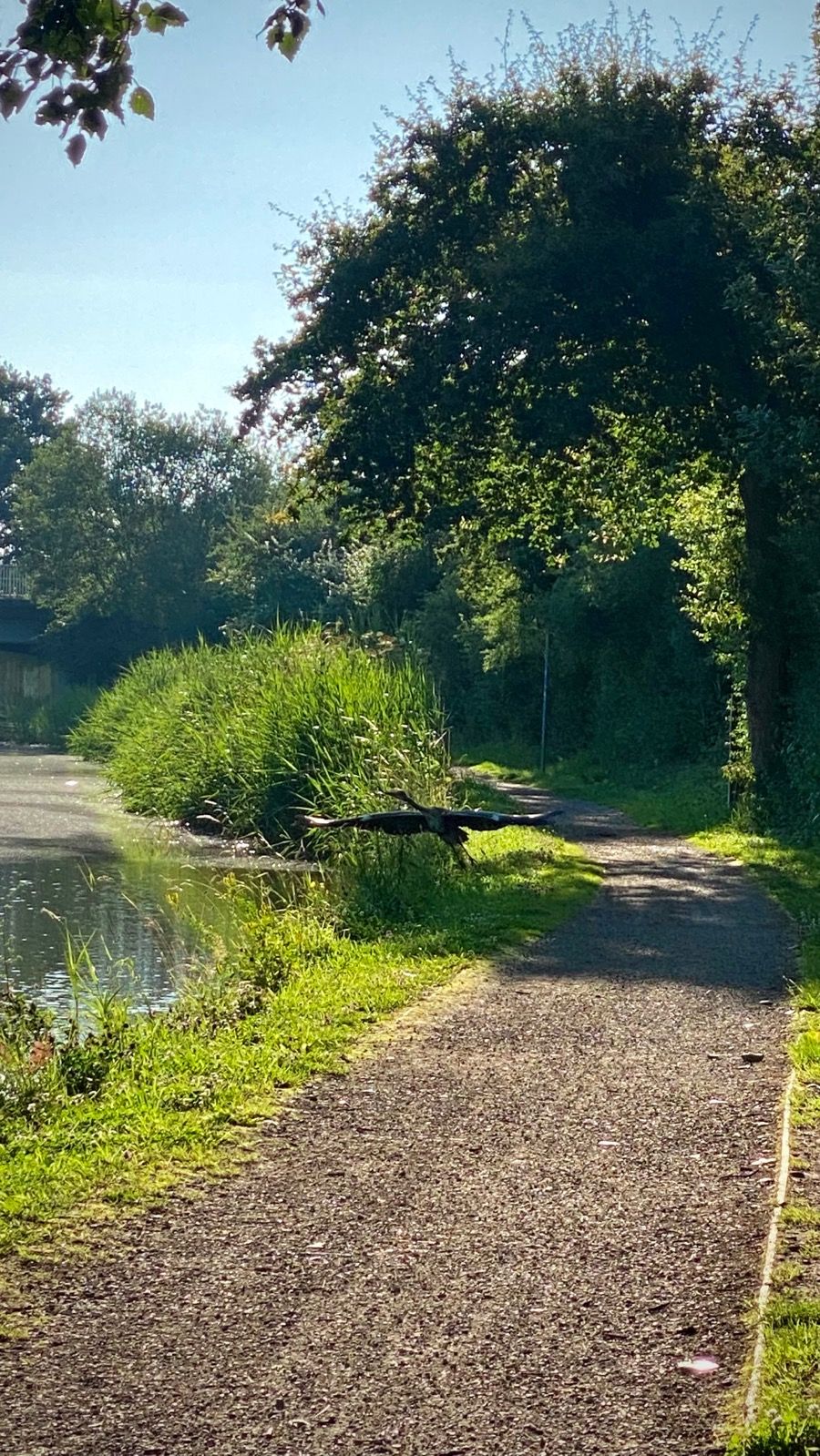 Canal ten | Run.Spoon.Run